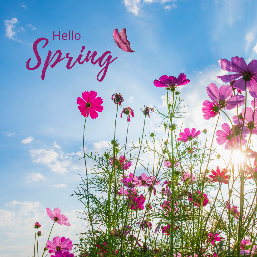 Holiday Tree – Holiday Tree