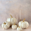 Capiz Ivory Pumpkin – Holiday Tree
