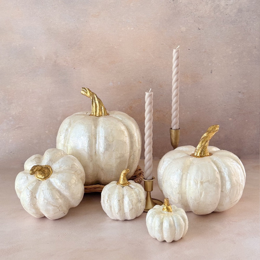 Capiz Ivory Pumpkin – Holiday Tree