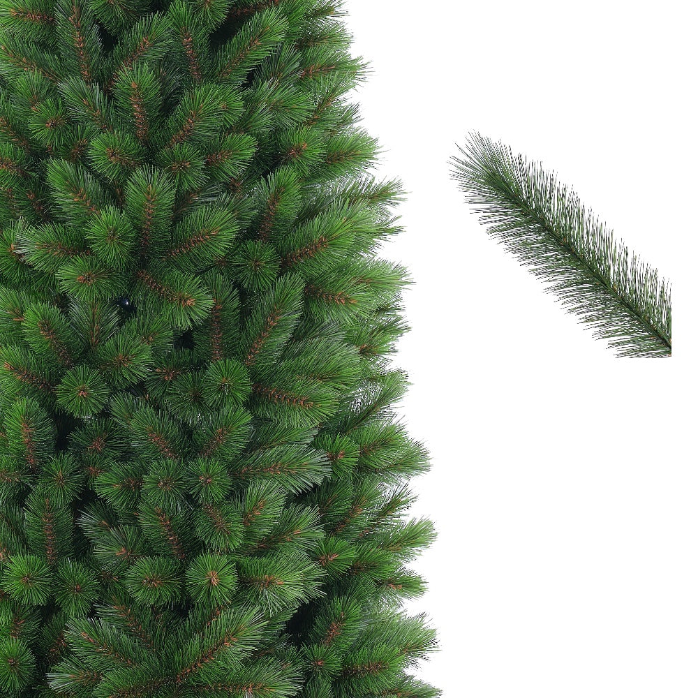 Slim Montgomery Pine – Holiday Tree